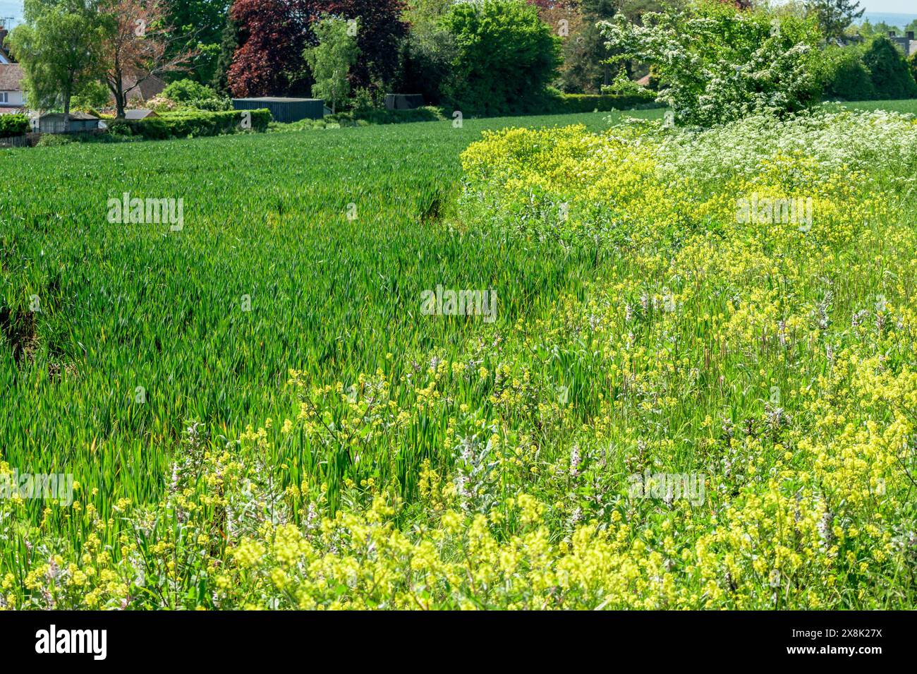 Farming biodiversity hi-res stock photography and images - Alamy