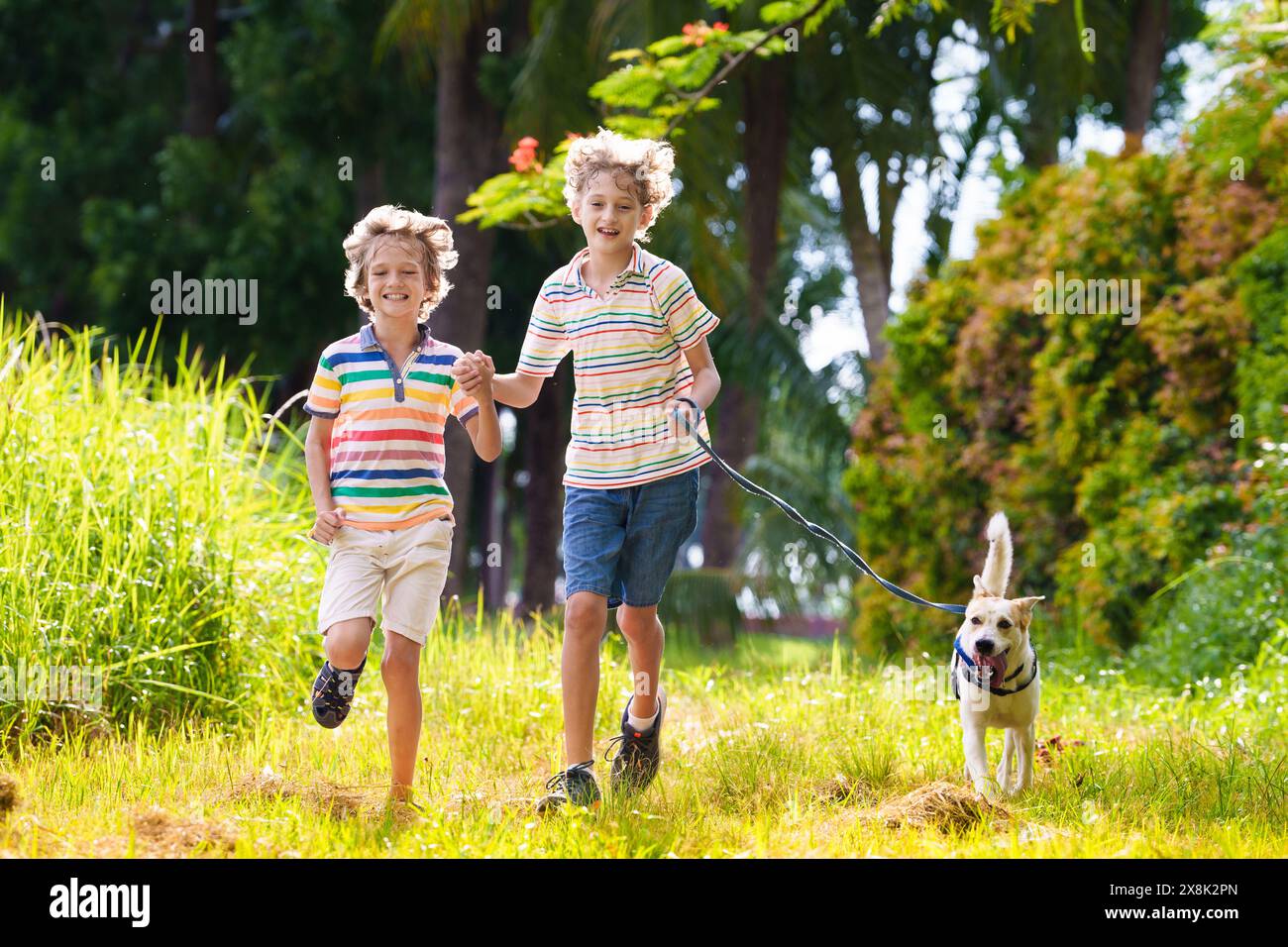 Family with kids running outdoor on sunny summer day. Siblings play in ...