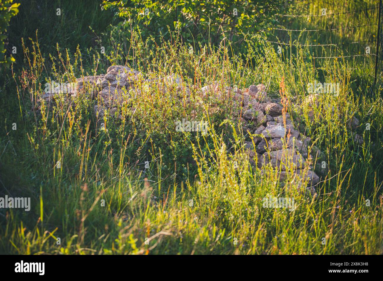 Cairn, heap of stones - a biotope for small animals like lizards ...
