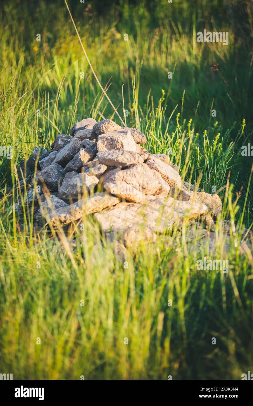 Cairn, heap of stones - a biotope for small animals like lizards ...