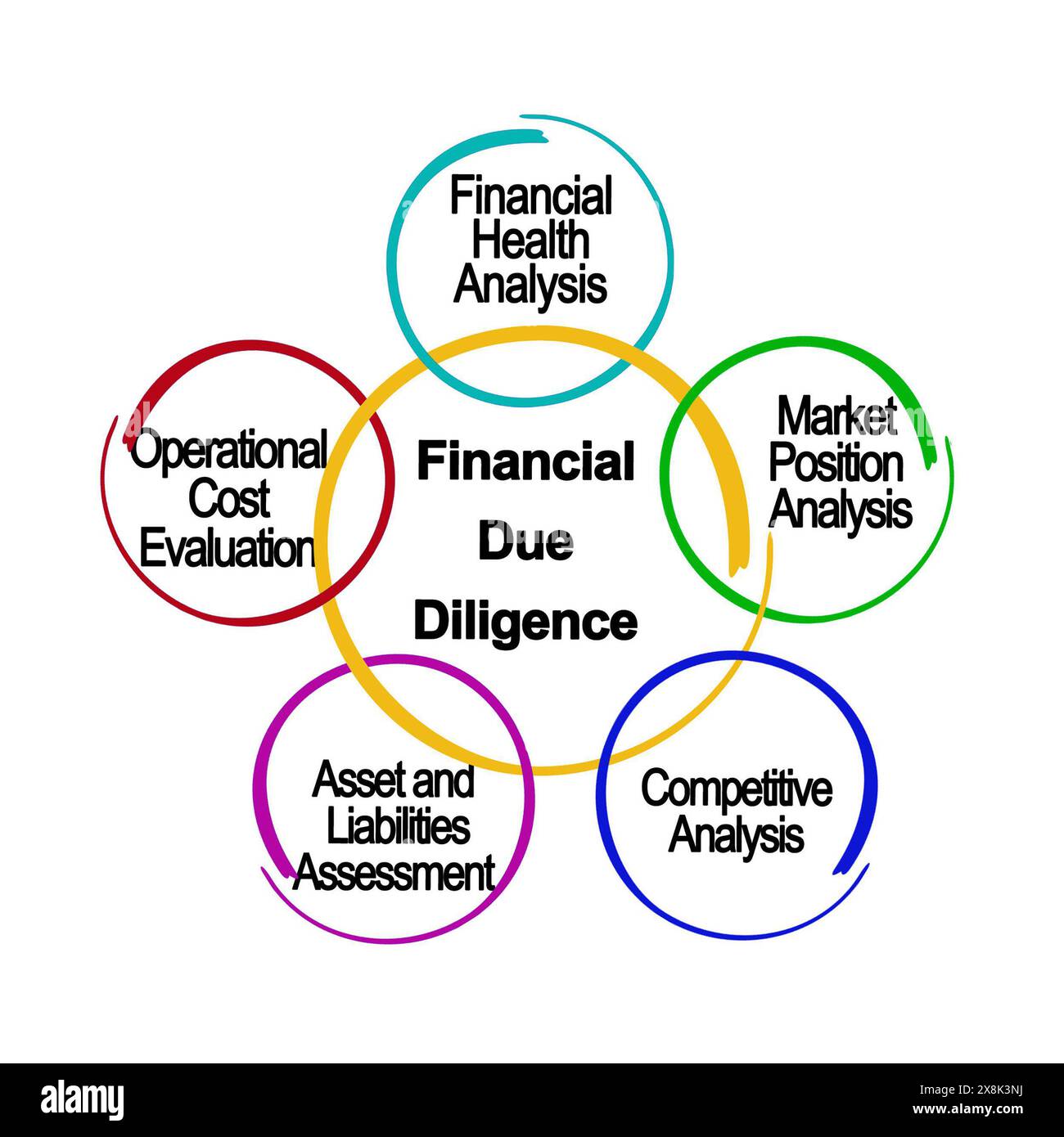 Components of Financial Due Diligence Stock Photo - Alamy
