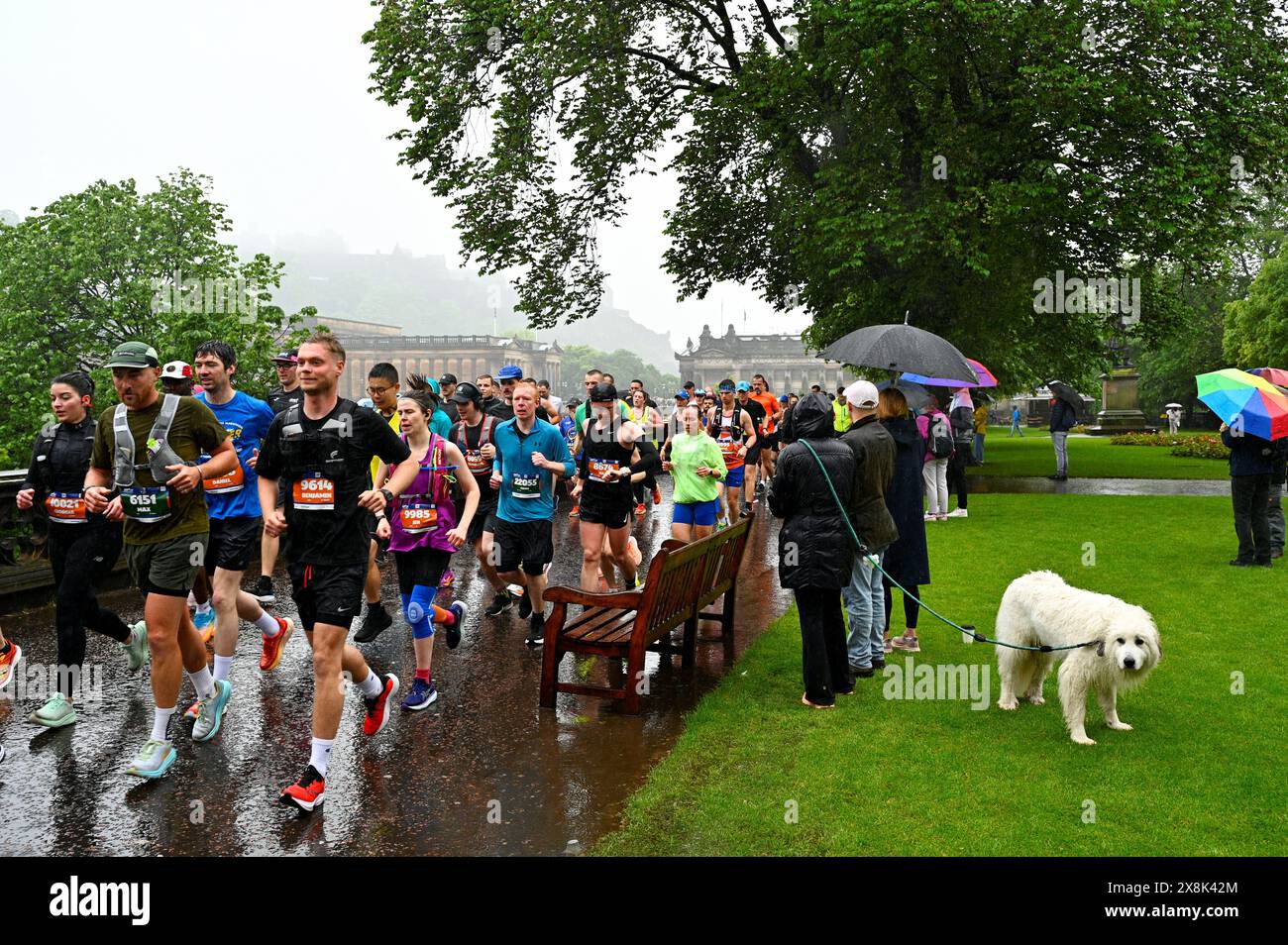 Edinburgh marathon 2024 runners joggers hi-res stock photography and ...