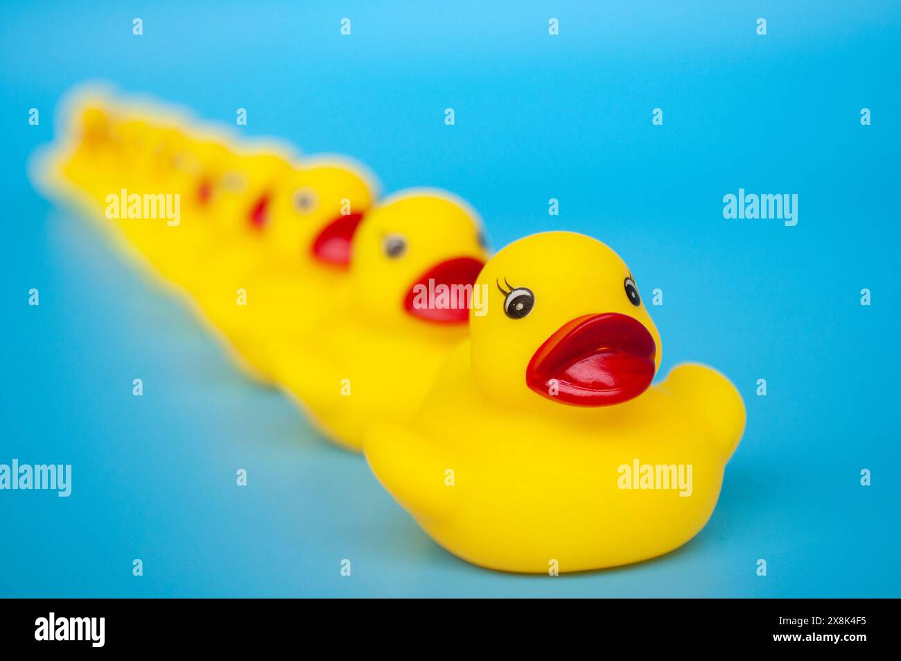 Close up of rubber duck leading other rubber ducks. Leadership concept ...