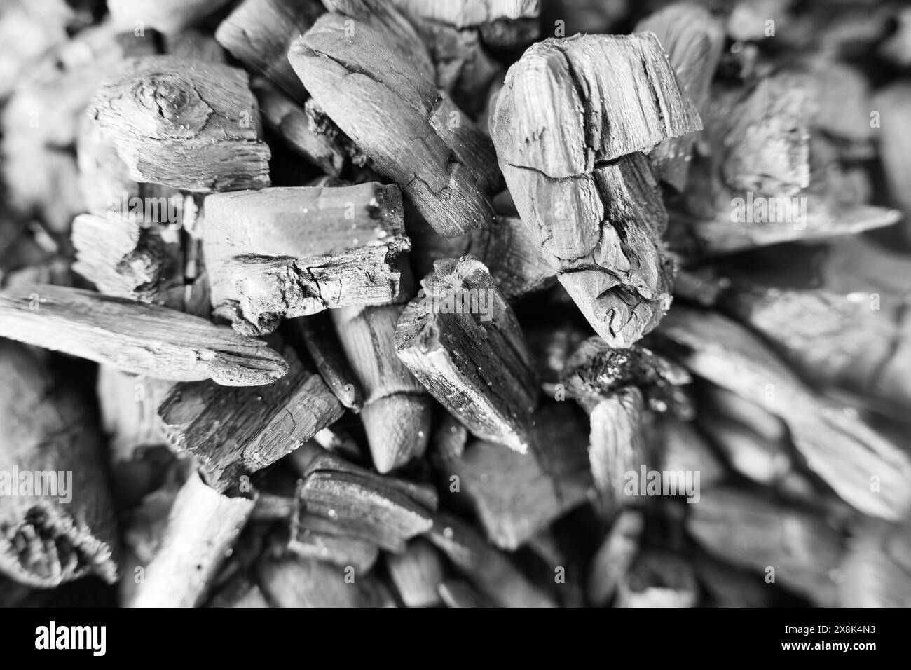 Minimalism. Close-up on burned wood on bonfire. Black and white ...