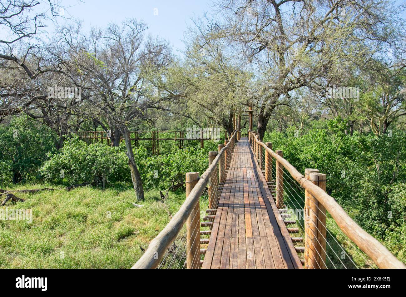 Mapungubwe national park hi-res stock photography and images - Alamy