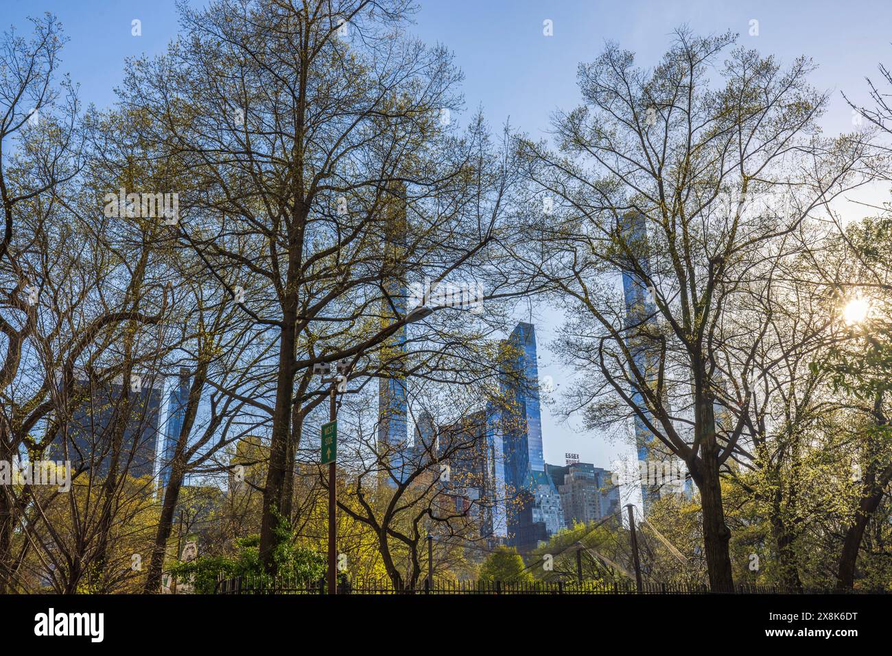 Scenic outlook from Central Park, framed by spring tree branches, witch ...