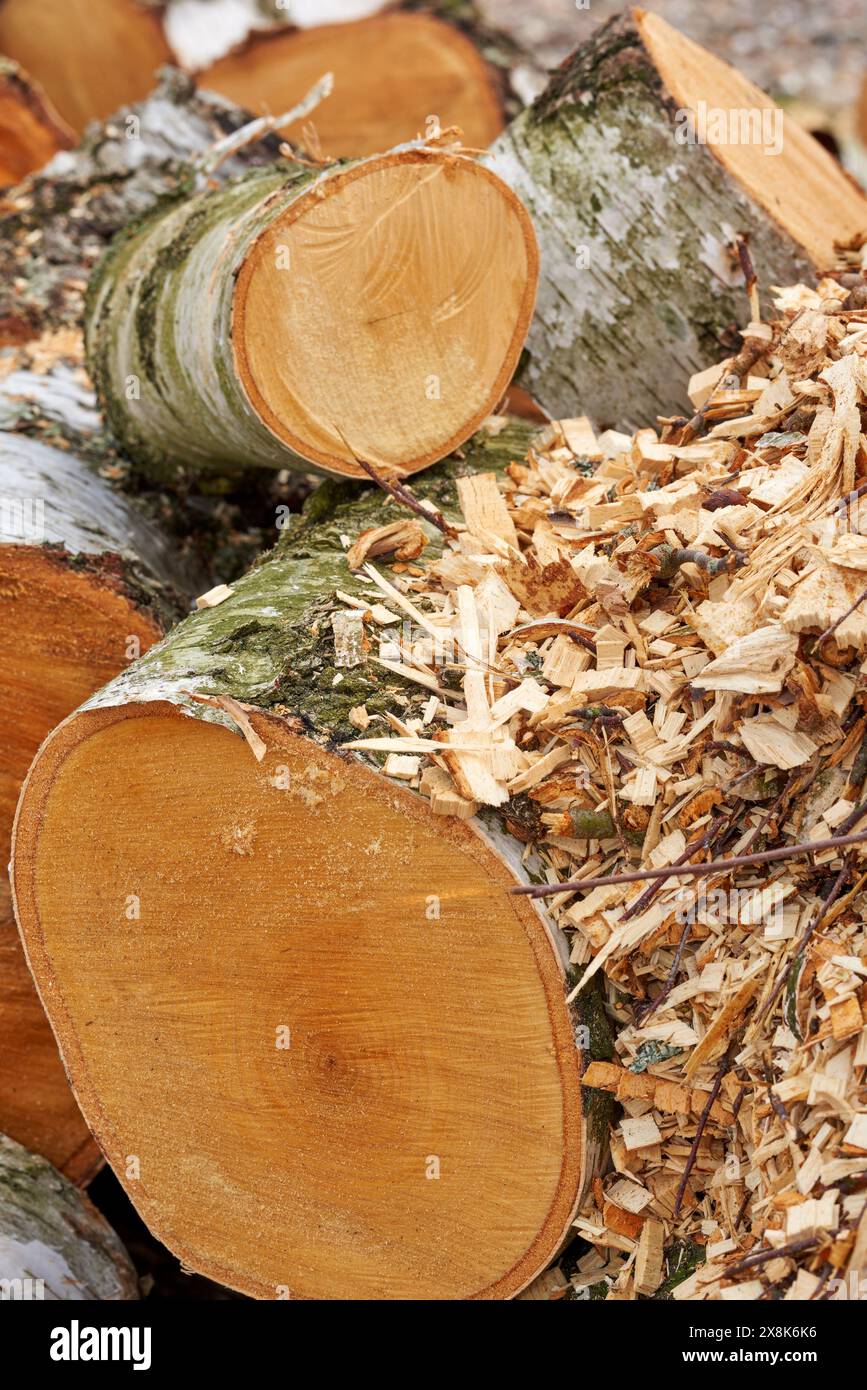 Environment, nature and trees for timber for farming, agriculture and ...