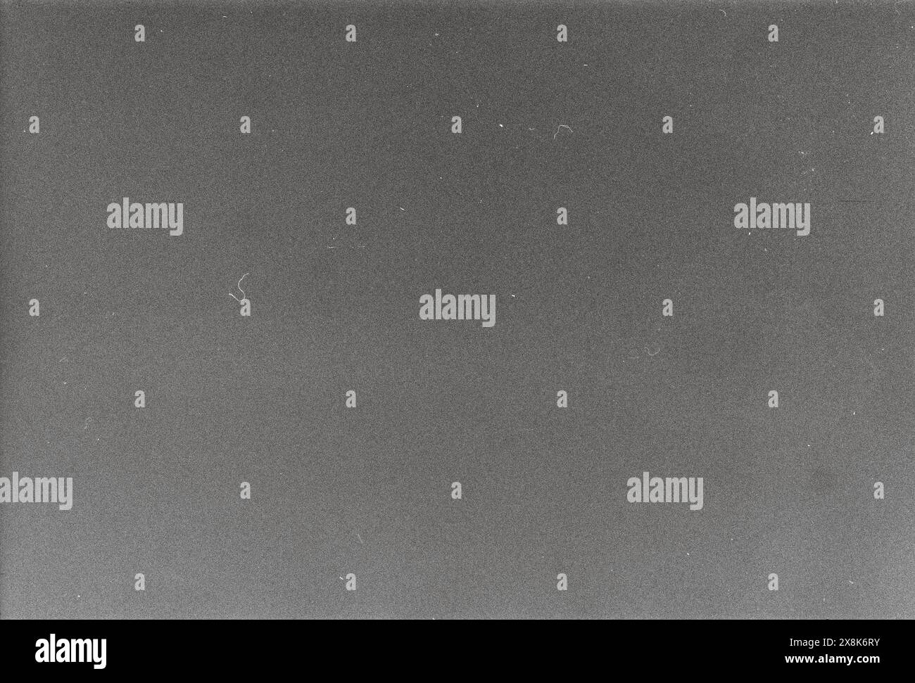 Real 400 Iso Black and white film grain scan background Stock Photo - Alamy