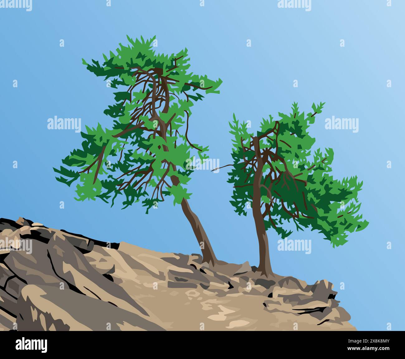 Mountain forest landscape pine trees Stock Vector Images - Alamy