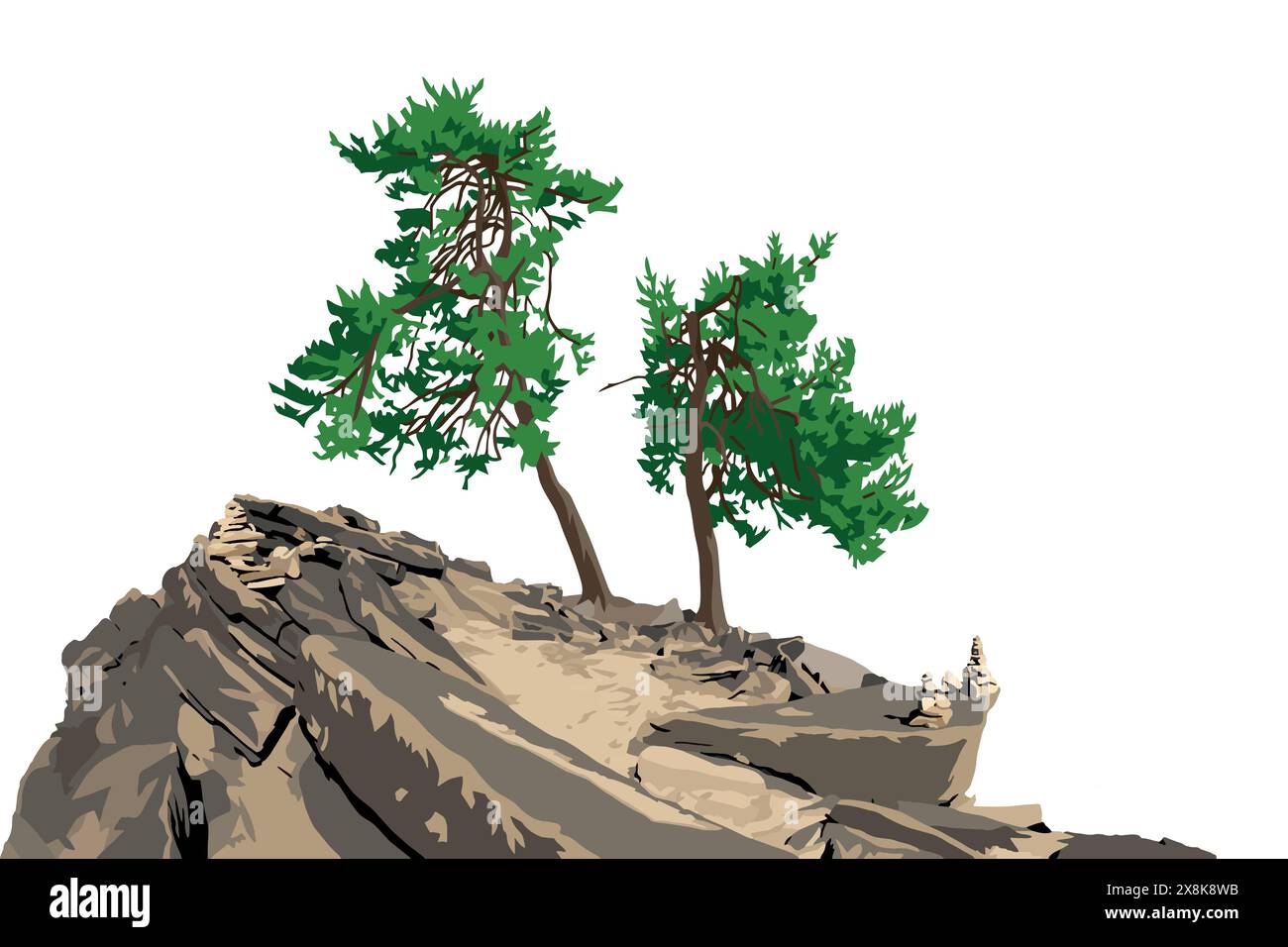 Trees, two pine trees on hill isolated on white sky background Stock ...