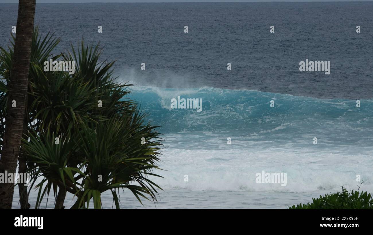Wave and palm trees on Reunion island Stock Photo - Alamy