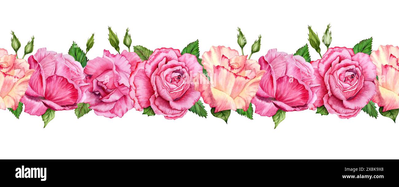 Pink roses seamless border. Flowers with leaves endless banner. Hand ...