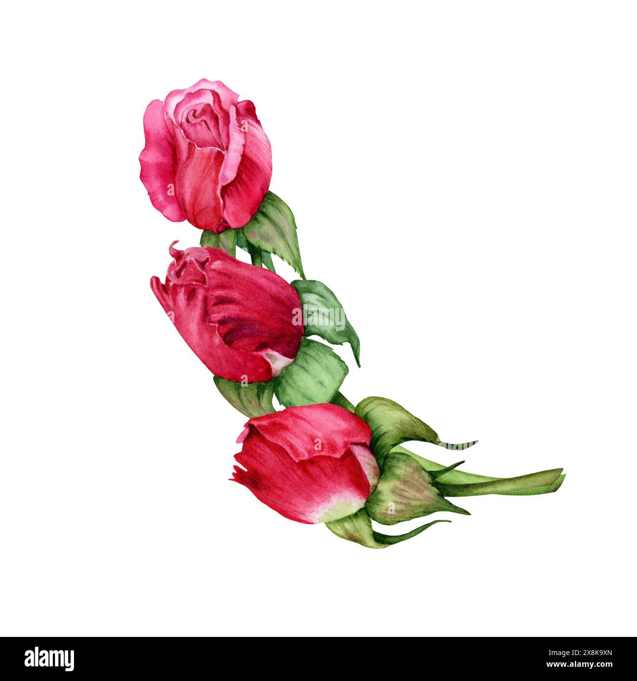 Red roses composition. Floral arrangement design. Rose buds on stems ...