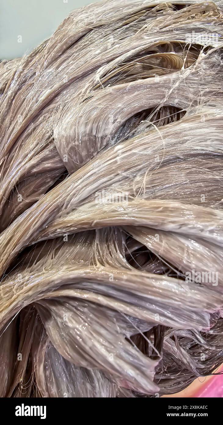 Long hair. Hair coloring process. Salon work. Step-by-step process ...