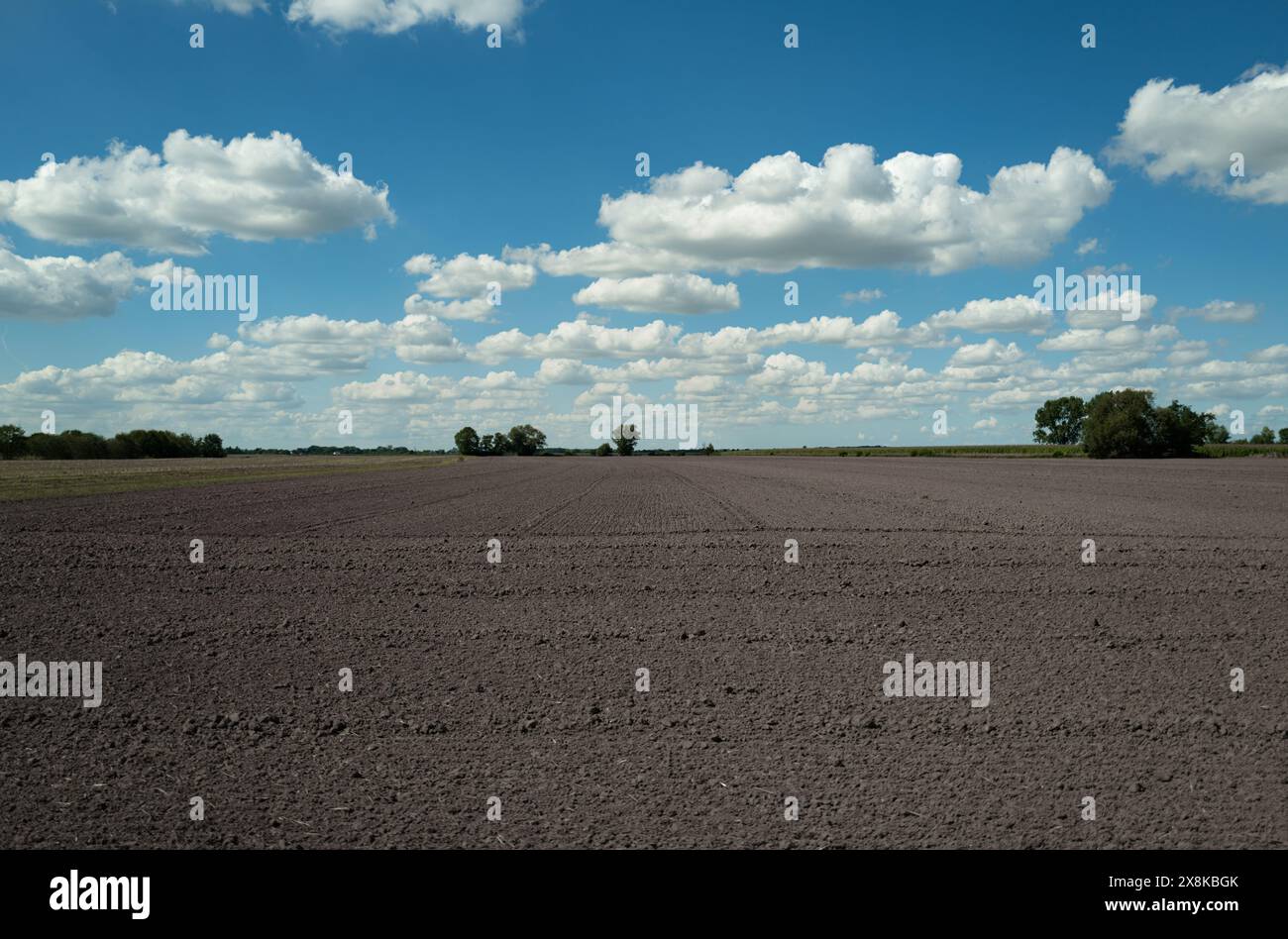 Soil texture background for gardening. Organic gardening. Agriculture ...