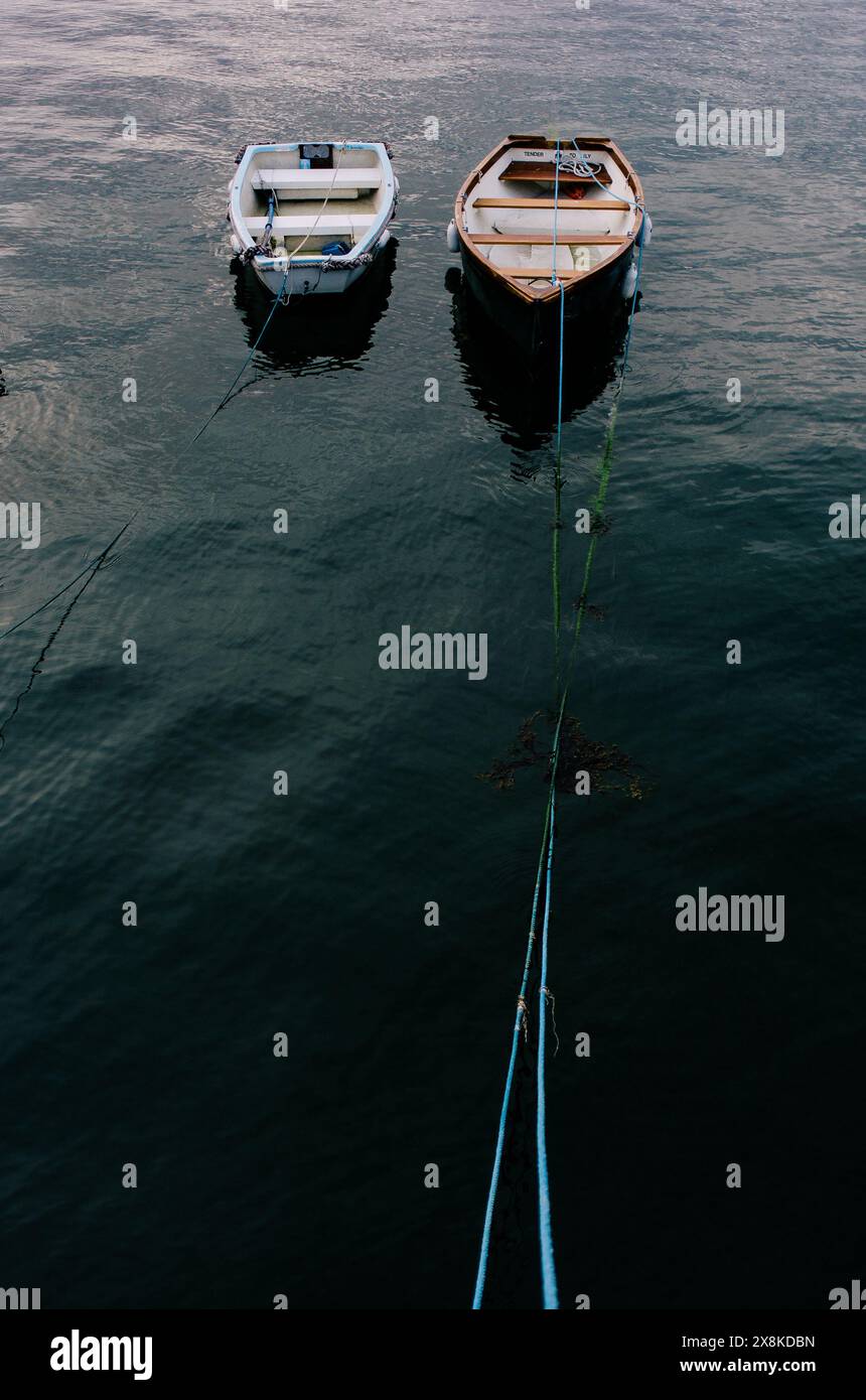 Boats moored in harbour Stock Photo - Alamy