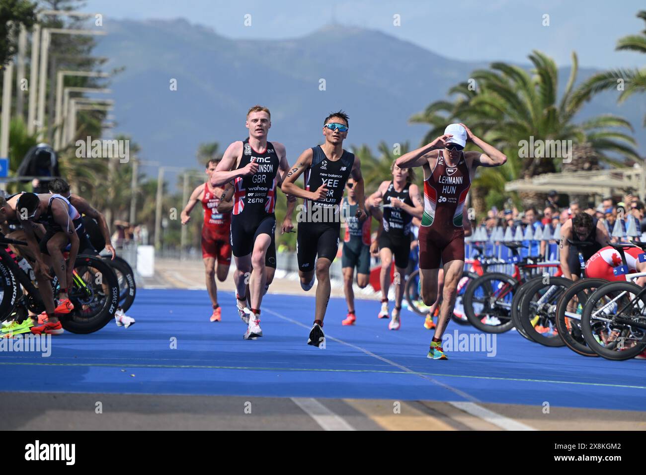 Alex yee world triathlon 2024 hi-res stock photography and images - Alamy