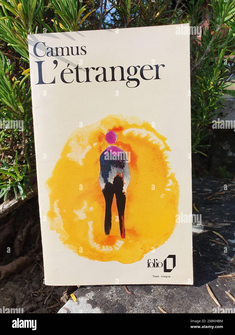 L' etranger Book by Albert Camus The Outsider in a Herb Garden with ...