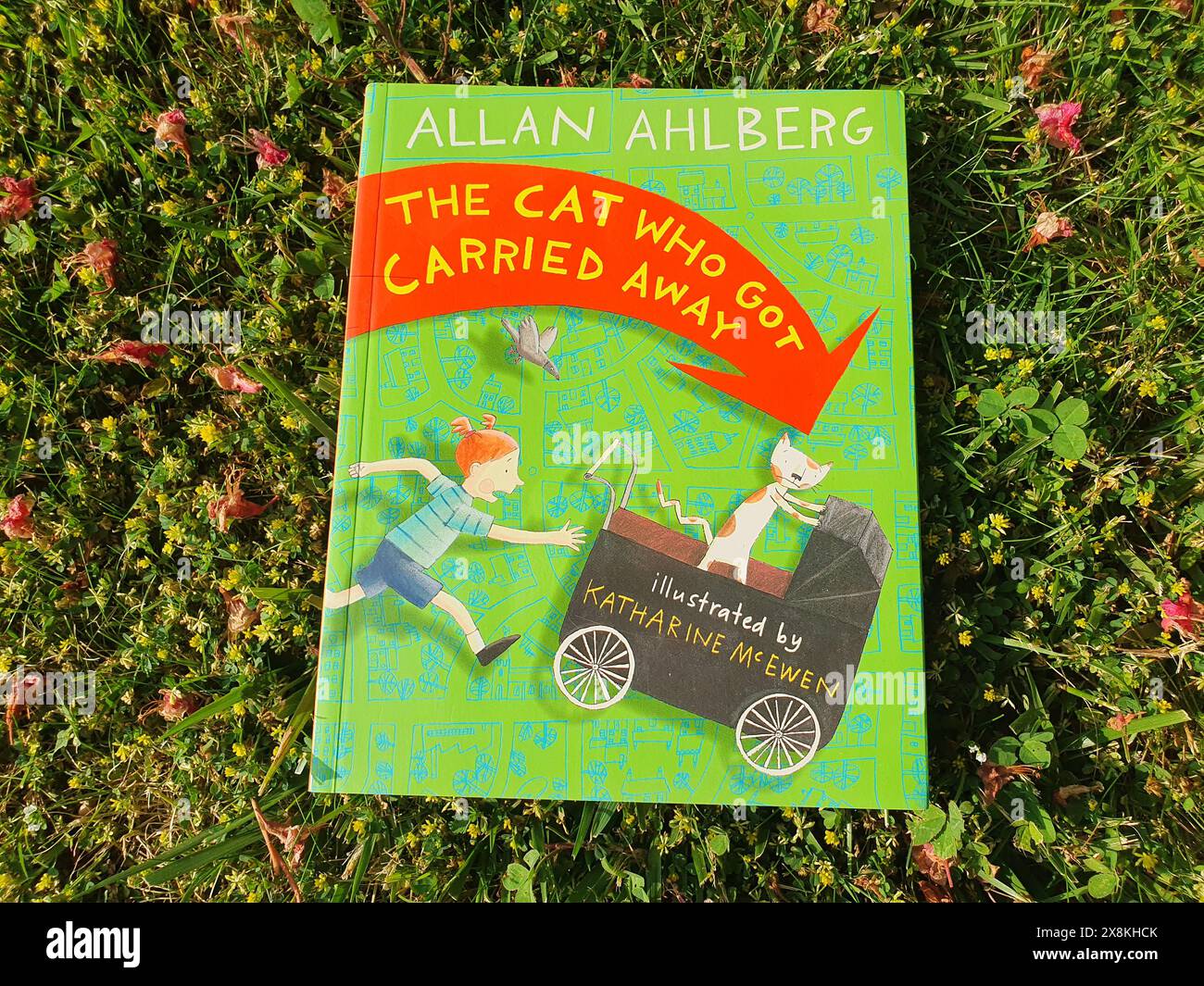 The Cat Who got Carried Away Children' s Book by Allan Ahlberg ...