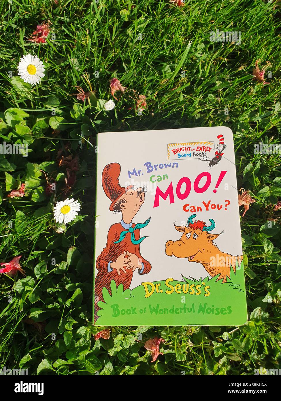 Mr Brown Can Moo Book - emsekflol.com