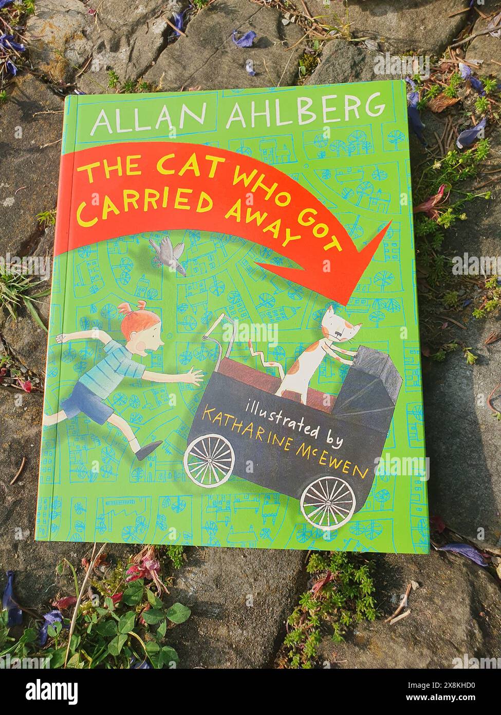 The Cat Who got Carried Away Children' s Book by Allan Ahlberg ...