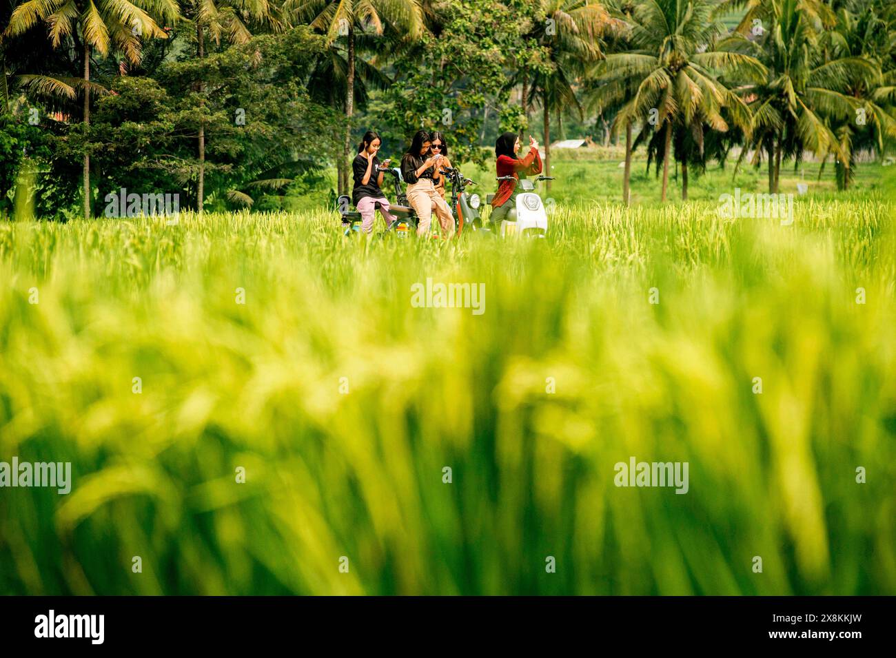 Yogyakarta, Indonesia. 26th May, 2024. People enjoy leisure time at ...