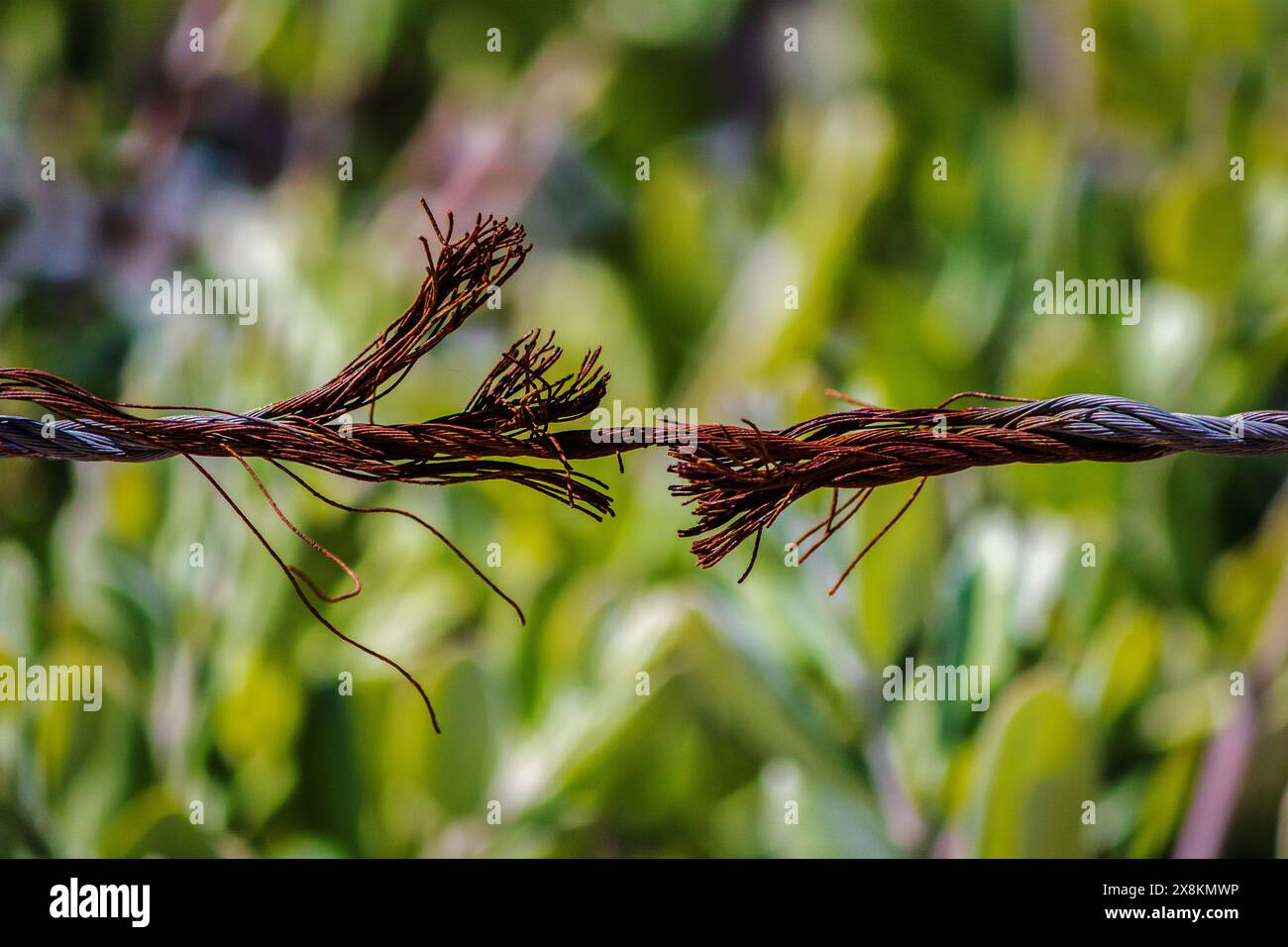 metal wire in the field Stock Photo - Alamy