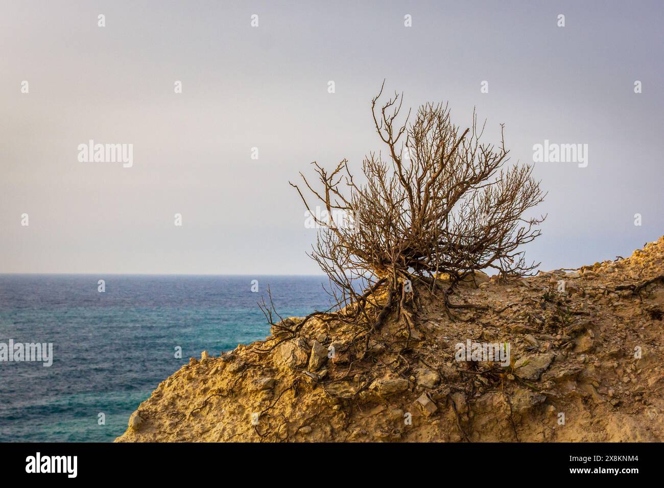 A peaceful beach scene featuring a sandy shore, tall cliffs, and ...