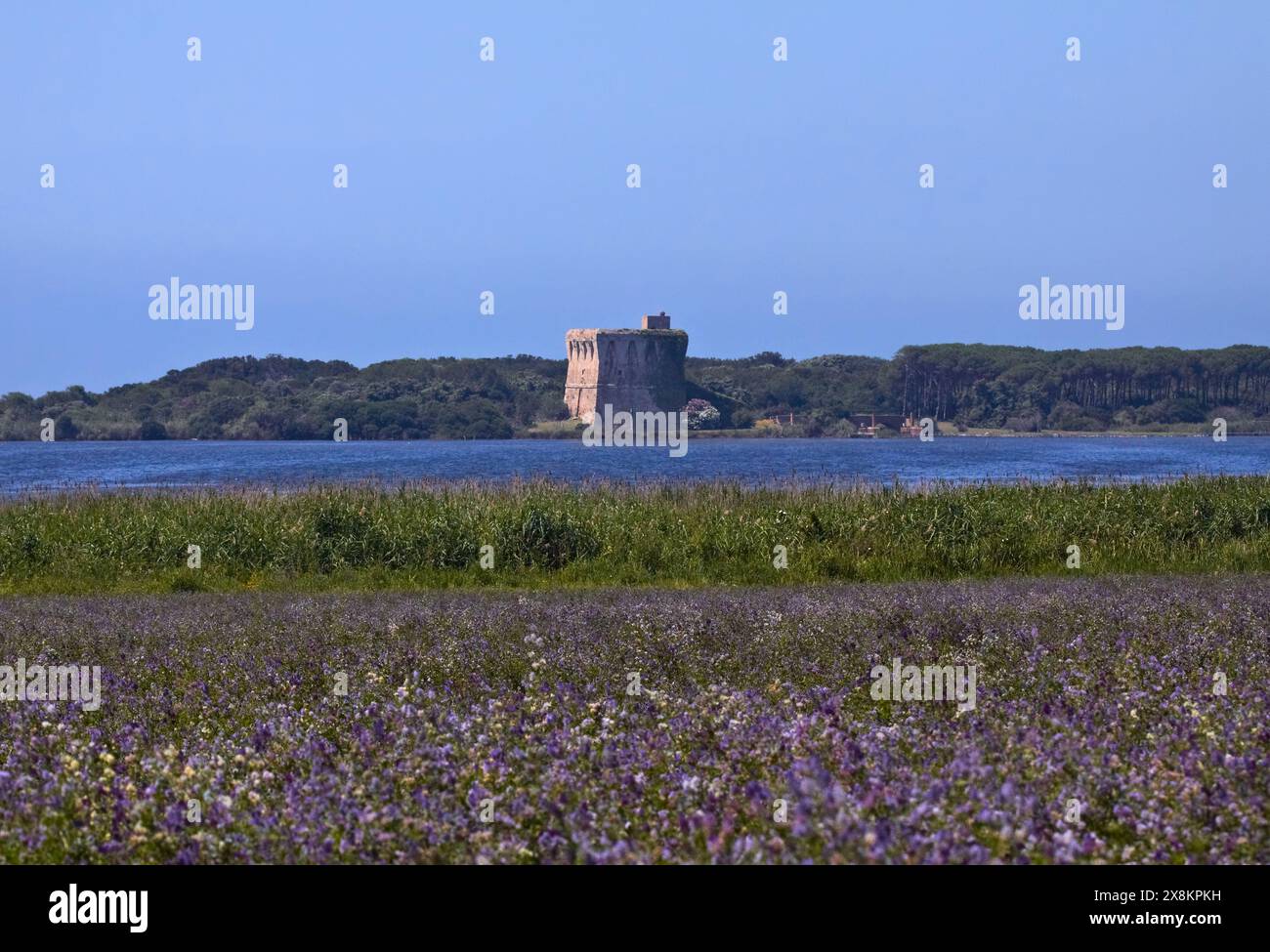 Italy, Tuscany, Chiarone wwf national park and lagoon, with ancient ...