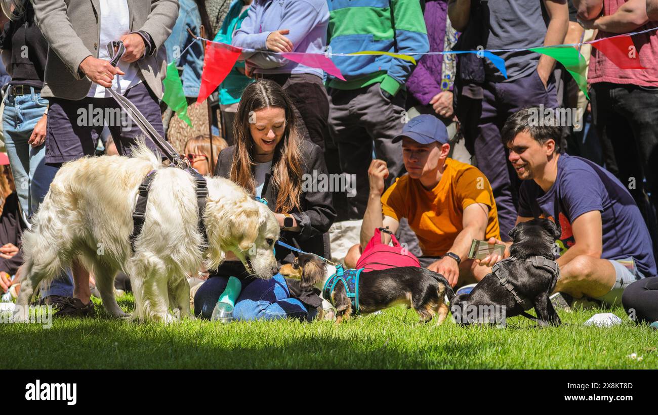 London, UK. 26th May, 2024. The popular Greenwich Dog Show returns to ...