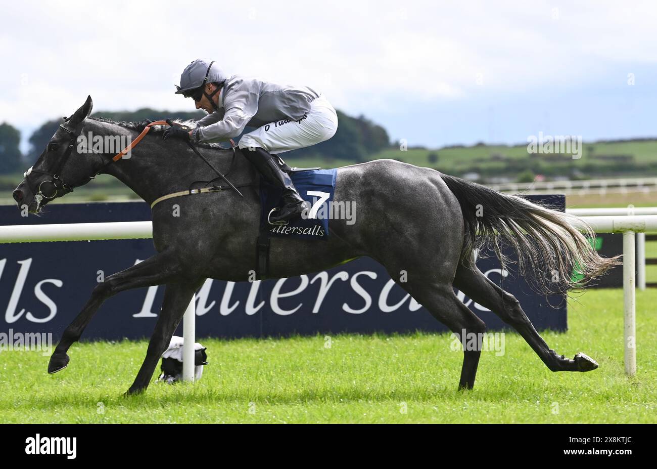 Fallen angel horse hi-res stock photography and images - Alamy