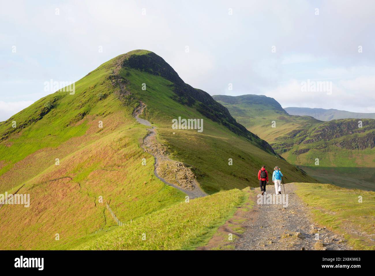 Lake District National Park, Cumbria, England. Two hikers walking towards the summit of Cat ...