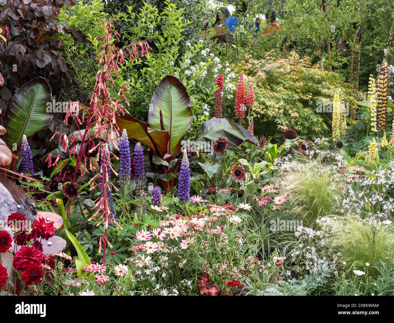 ''chelsea flower show'' exhibit hi-res stock photography and images - Alamy