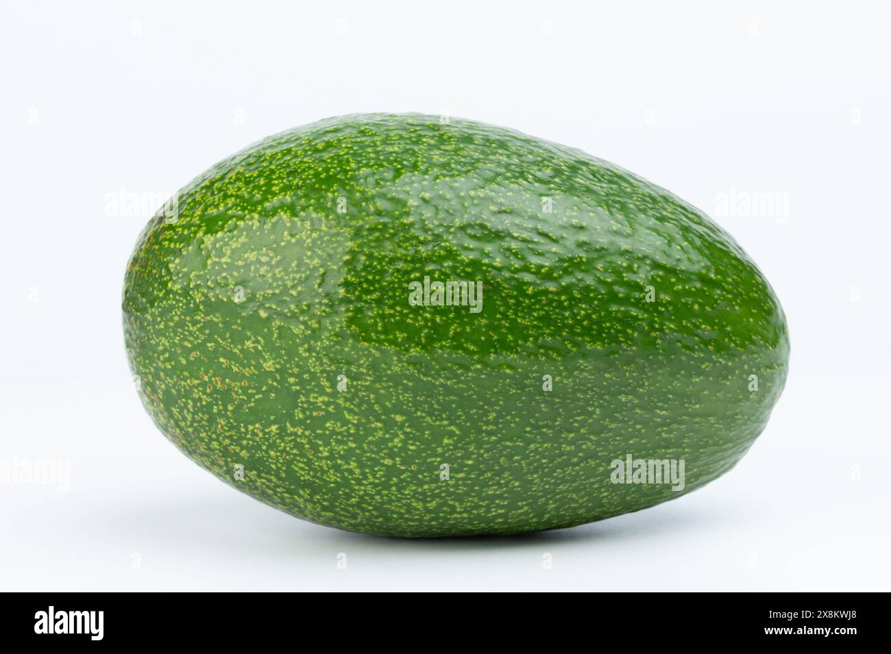 One green shiny avocado vegetable isolated on white studio background ...