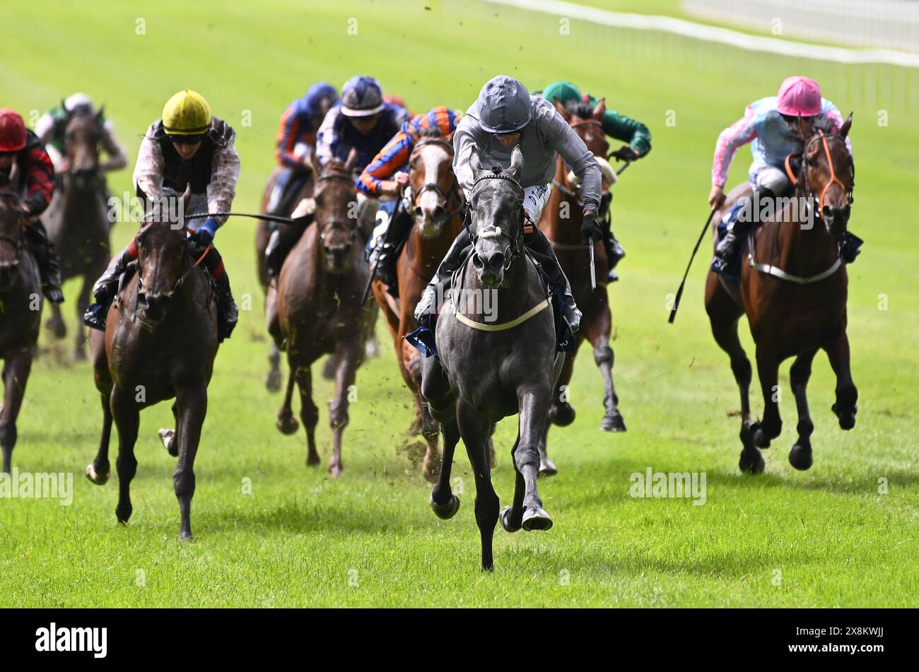 Fallen angel horse hi-res stock photography and images - Alamy
