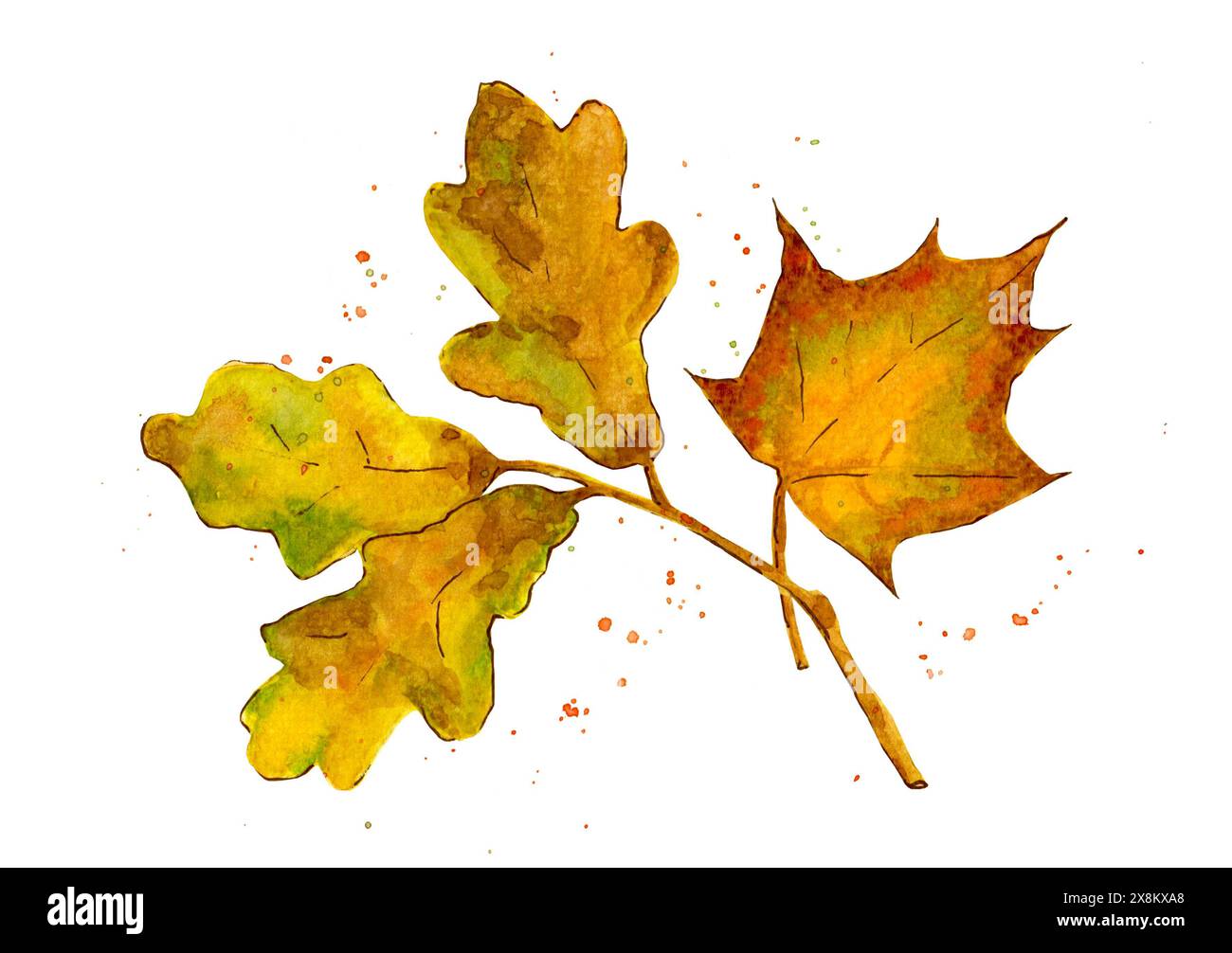Watercolor hand drawn autumn leaf botanical illustration with bright ...