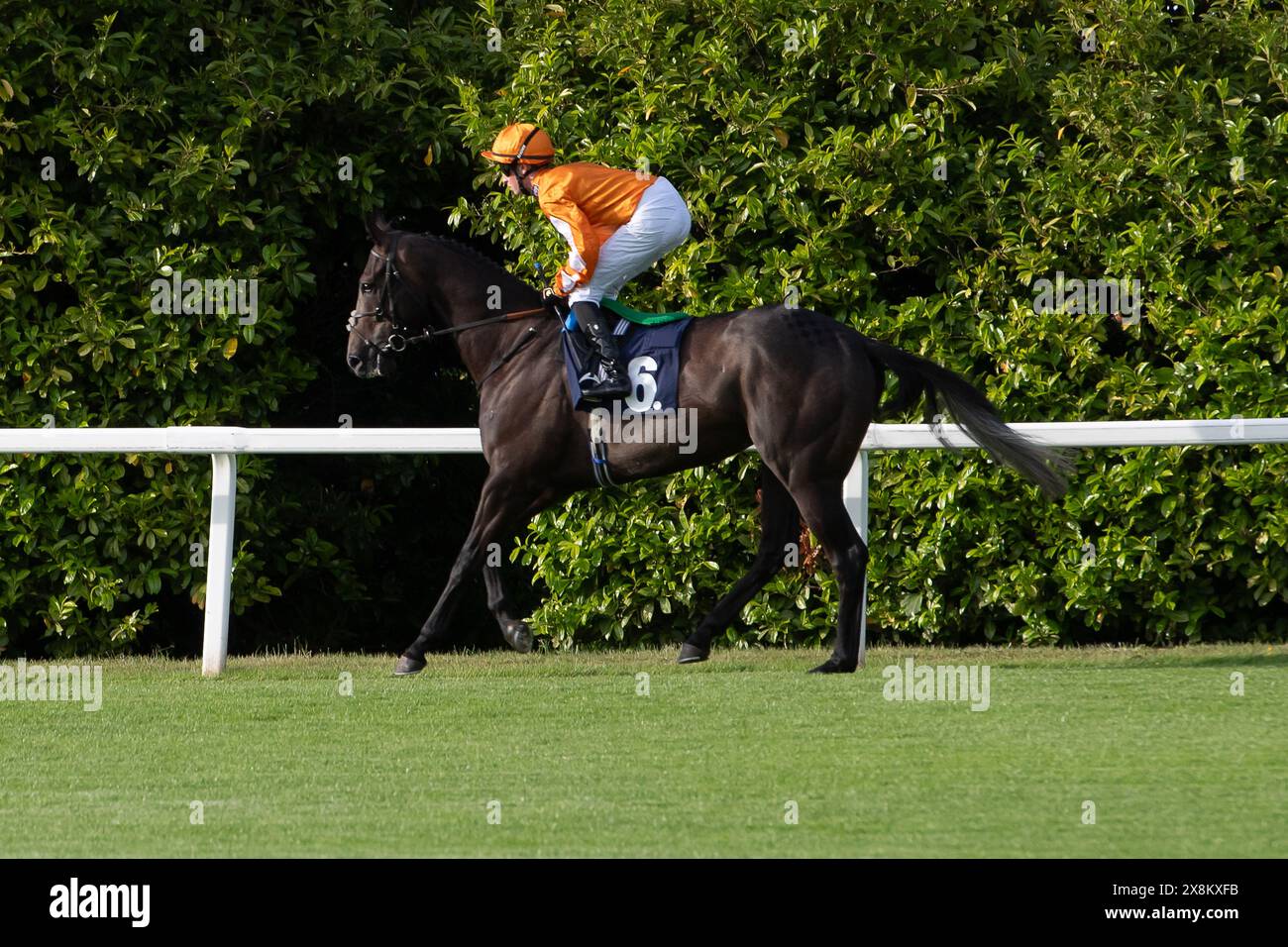 Windsor, UK. 25th May, 2024. Horse Ezra Gee ridden by jockey Ross ...