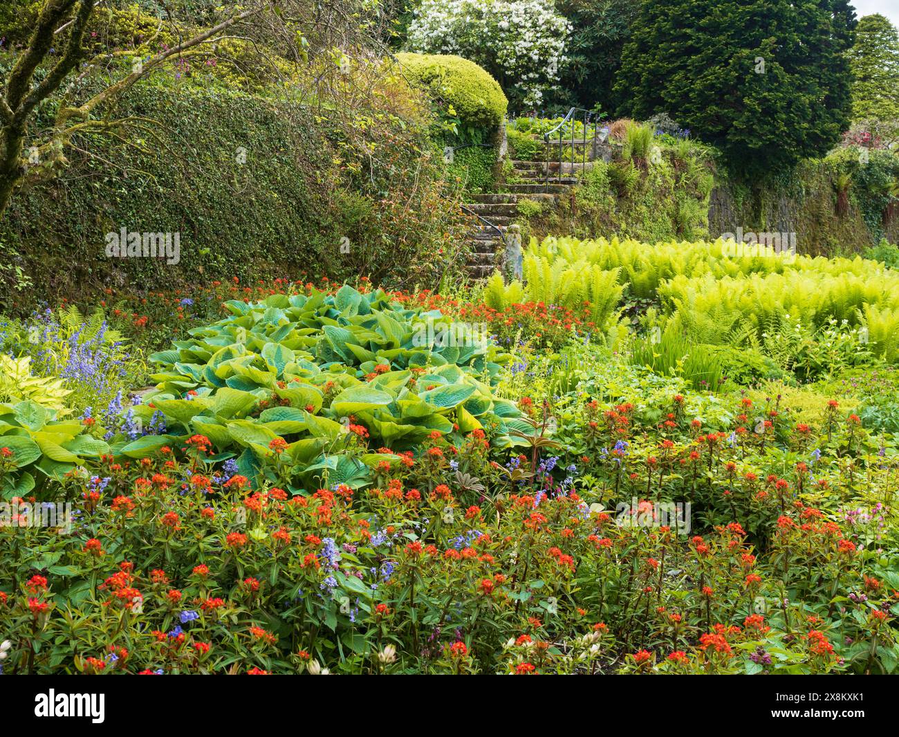 Late spring view over the Tennis Court Terrace at The Garden House ...