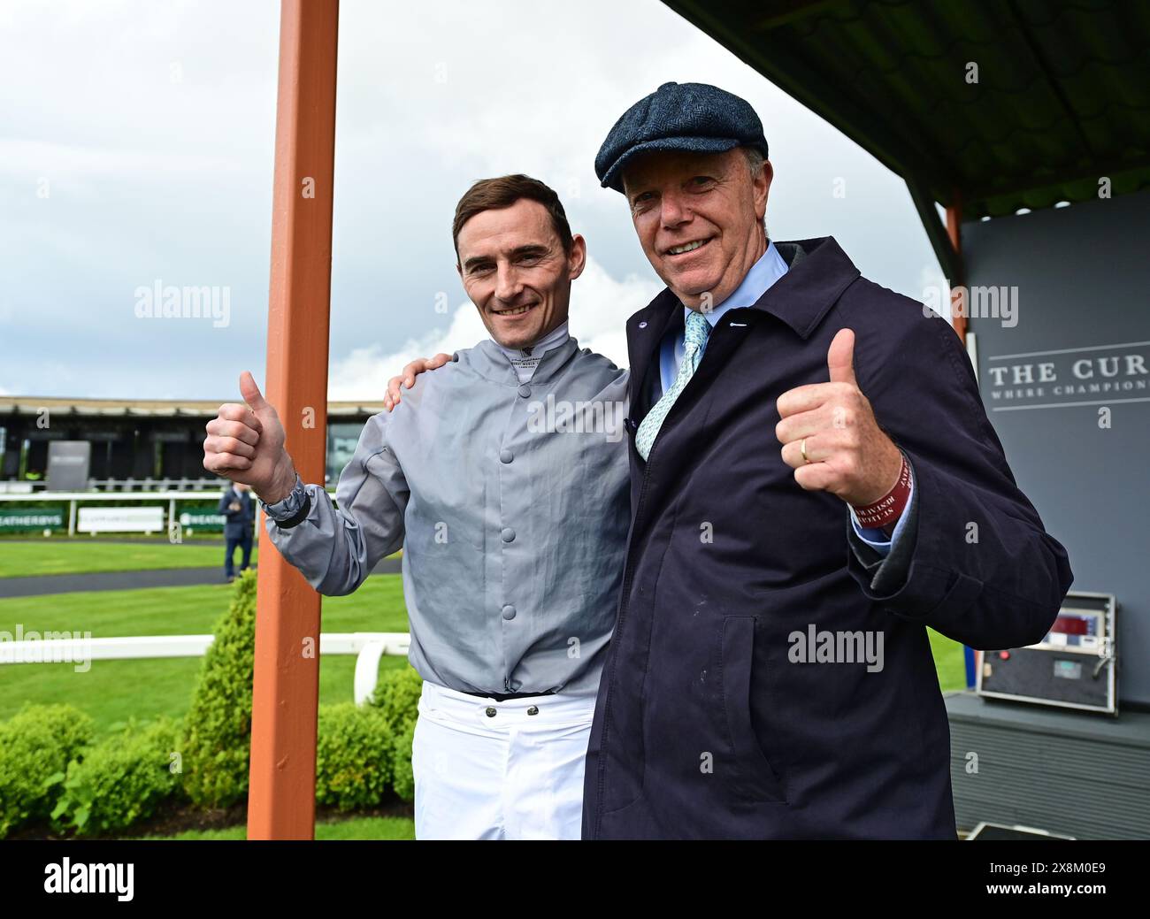 Fallen angel horse hi-res stock photography and images - Alamy