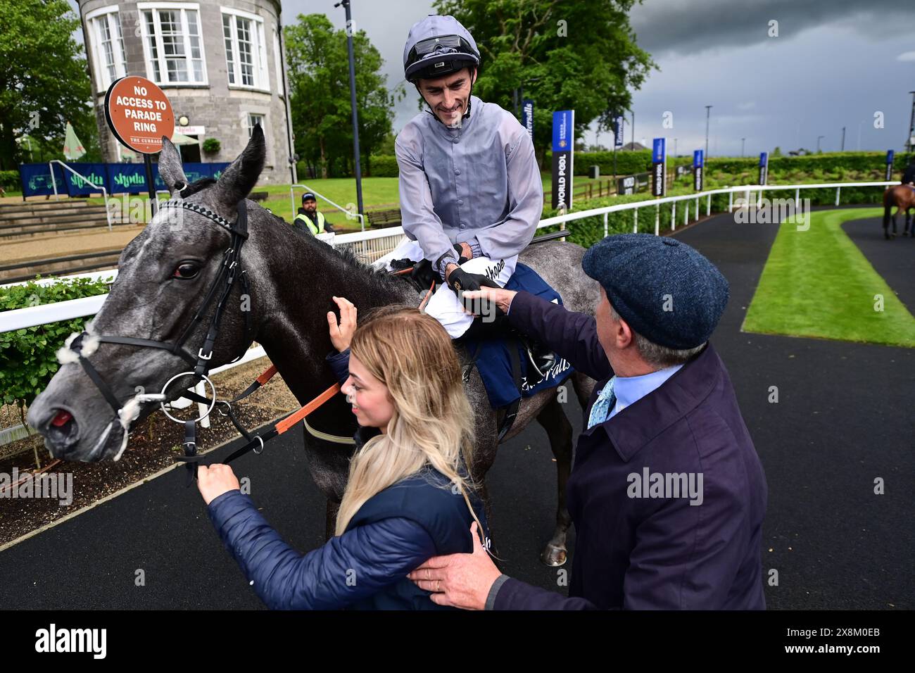 Fallen angel horse hi-res stock photography and images - Alamy