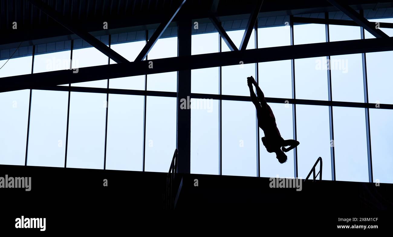 Bryn James in action in the mens 10m Platform Final on day four of the ...
