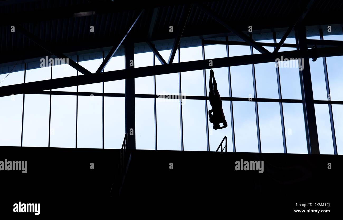 Noah Williams in action in the mens 10m Platform Final on day four of ...