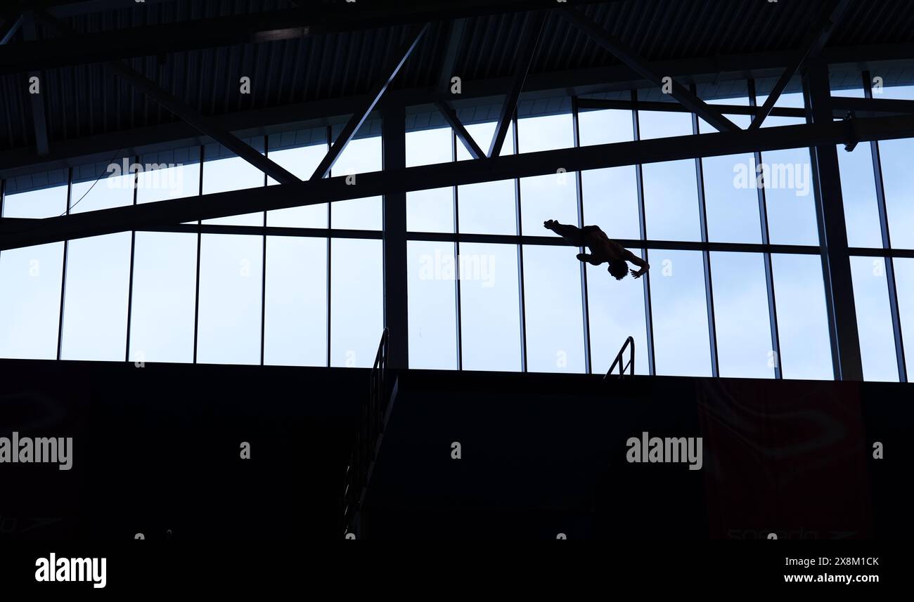 Noah Williams in action in the mens 10m Platform Final on day four of ...