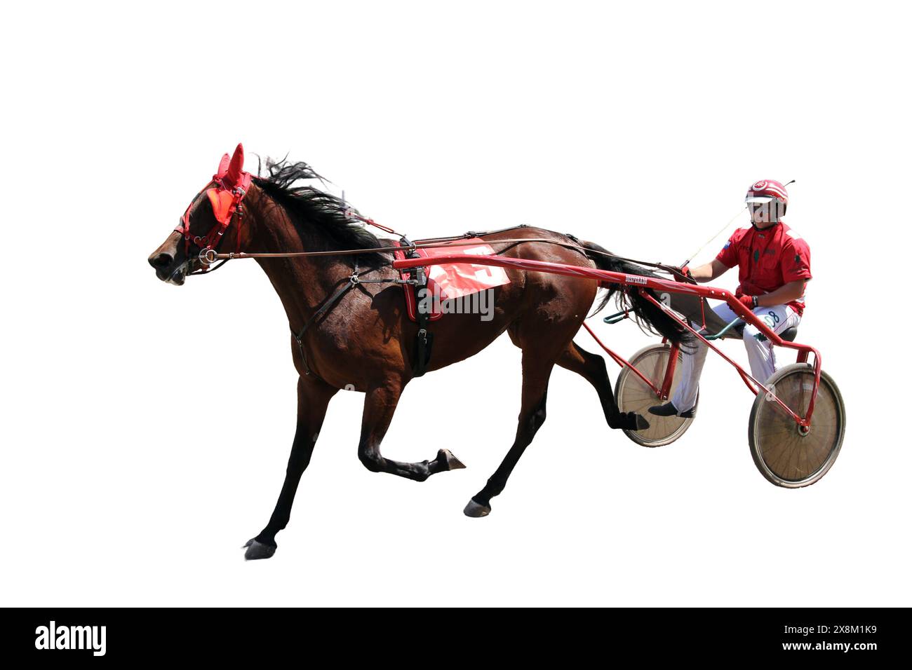 Riders compete during their harness racing horse isolated on a white ...