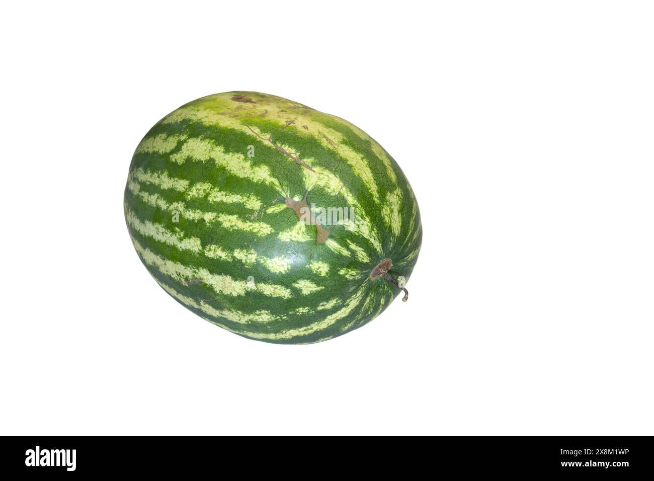 Large ripe striped watermelon isolated on white background Stock Photo ...