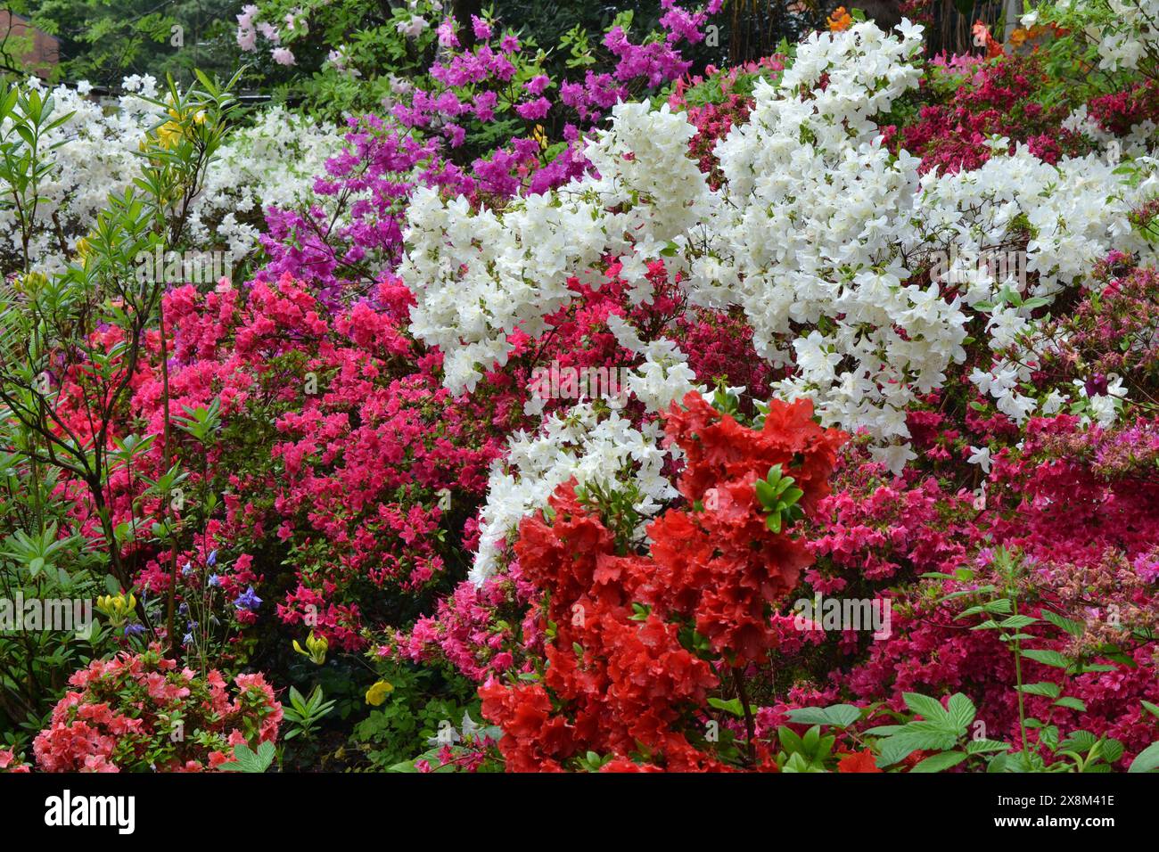 Spring gardens, manchester hi-res stock photography and images - Alamy