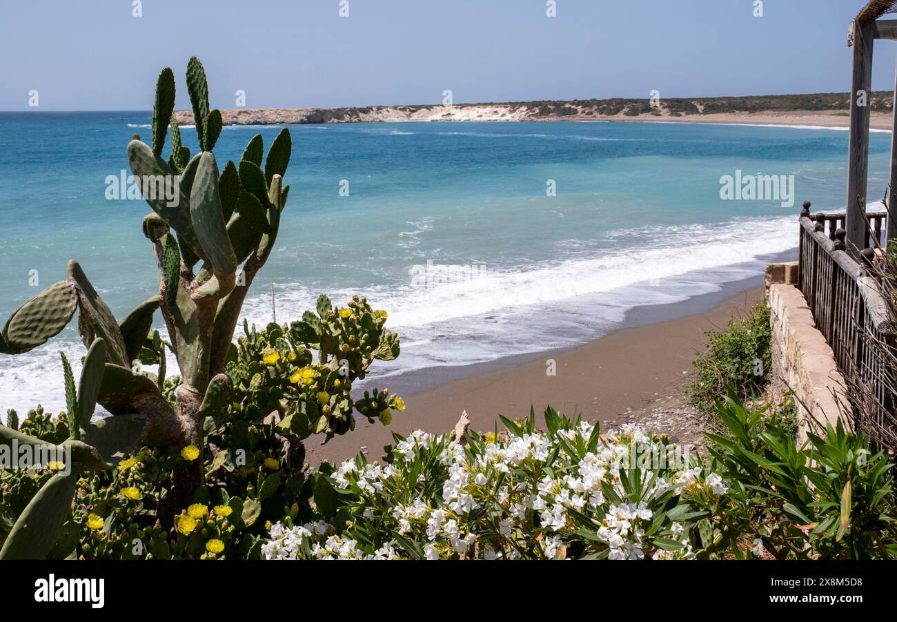 View from the Lara restaurant near Lara bay, Akamas, Paphos district ...