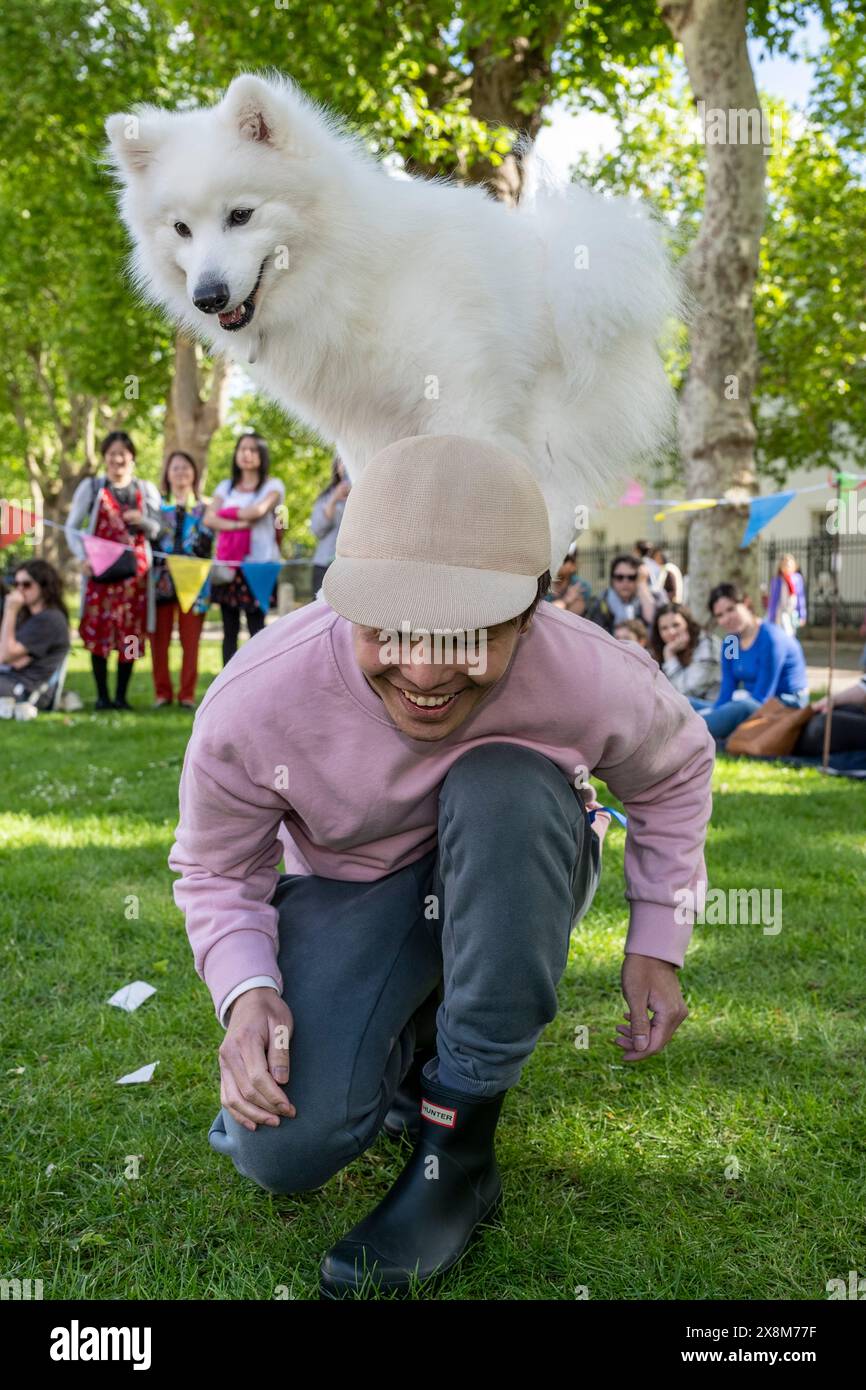 London, UK. 26 May 2024. Finn, a Japanese Spitz, wins 1st place in the ...