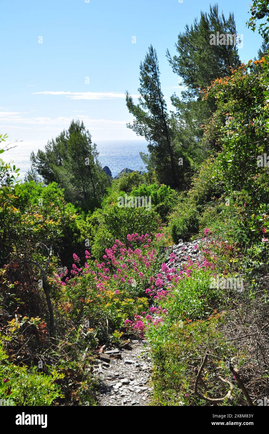 Fowered path hi-res stock photography and images - Alamy