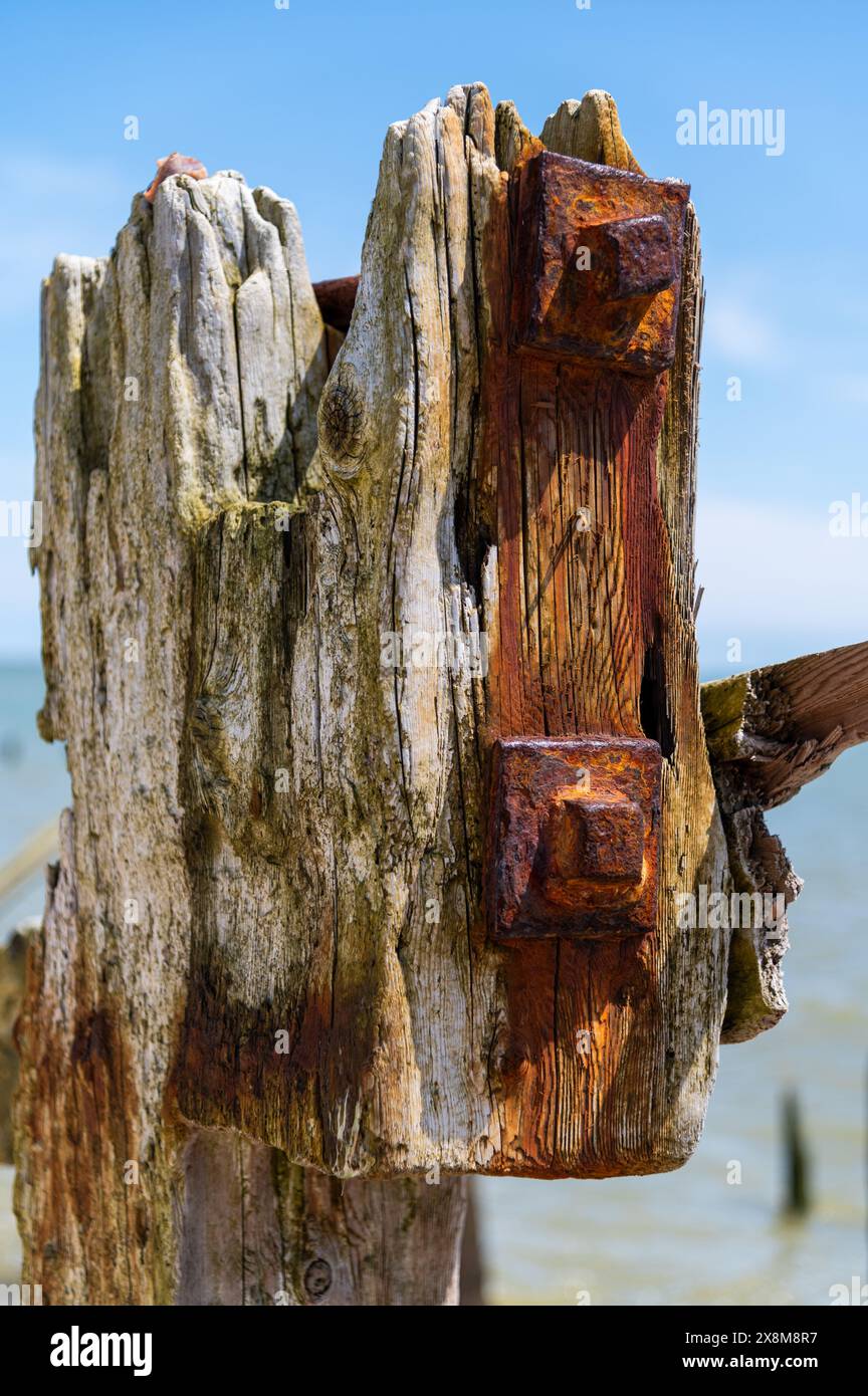 Worn groyne post head with heavily weathered wood, rusty bolts and rust ...